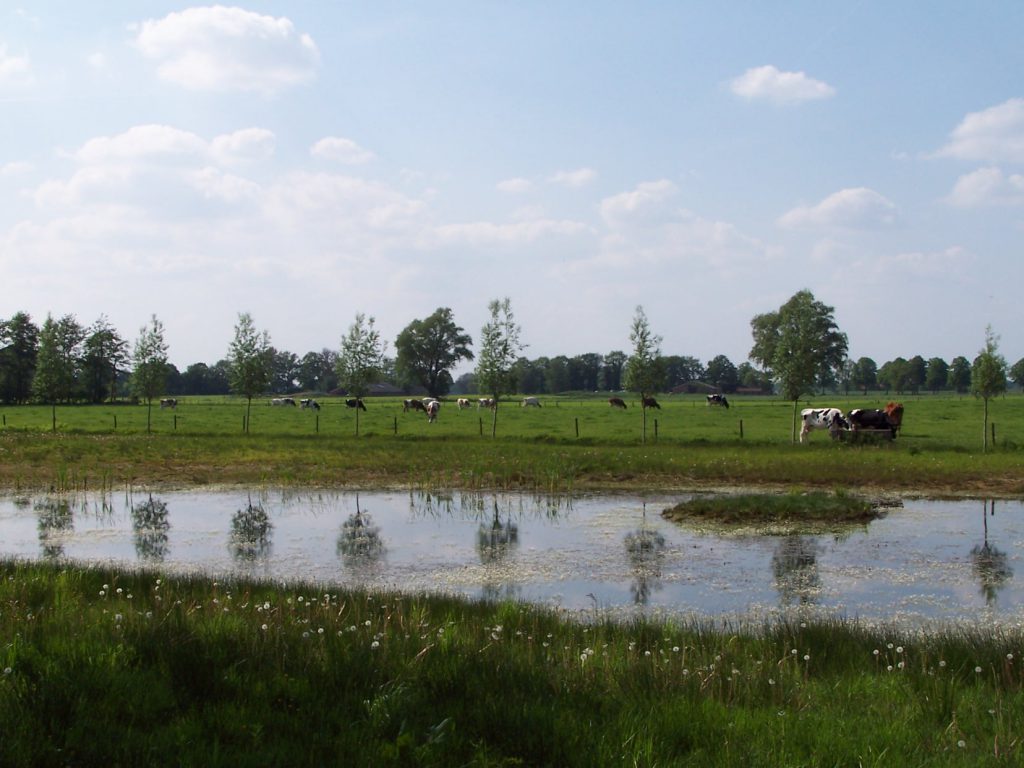 Achterhoek Inspiratie Festival bij De Heikamp