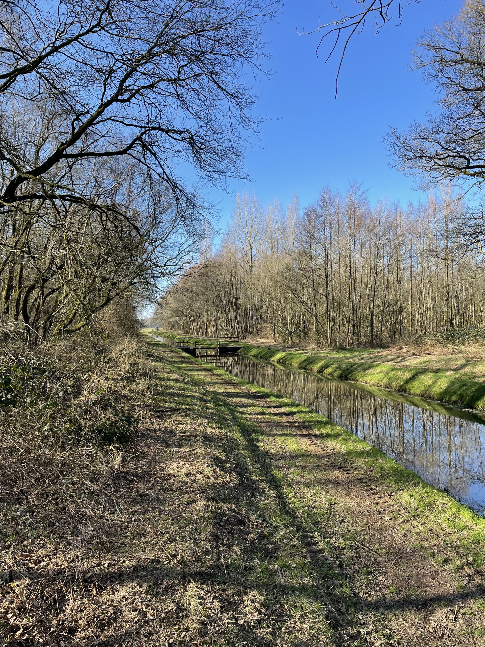 Lente wandeling van VVV Neede