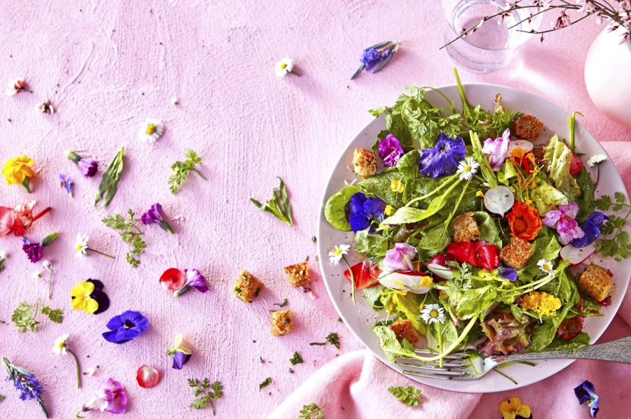 Culinaire evenementen bij Studio 16