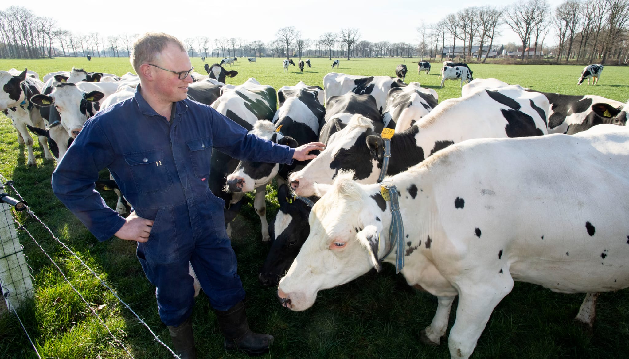 Oproep om te “vlaggen” voor de boeren