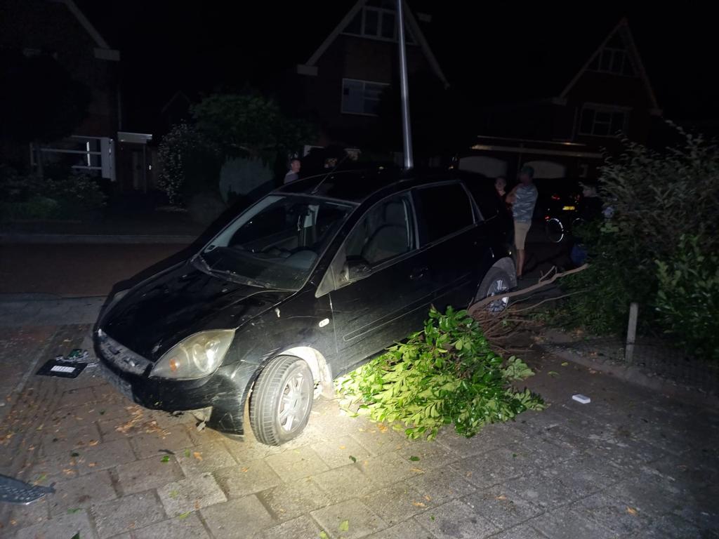 Dronken bestuurder rijdt Eibergse voortuin in