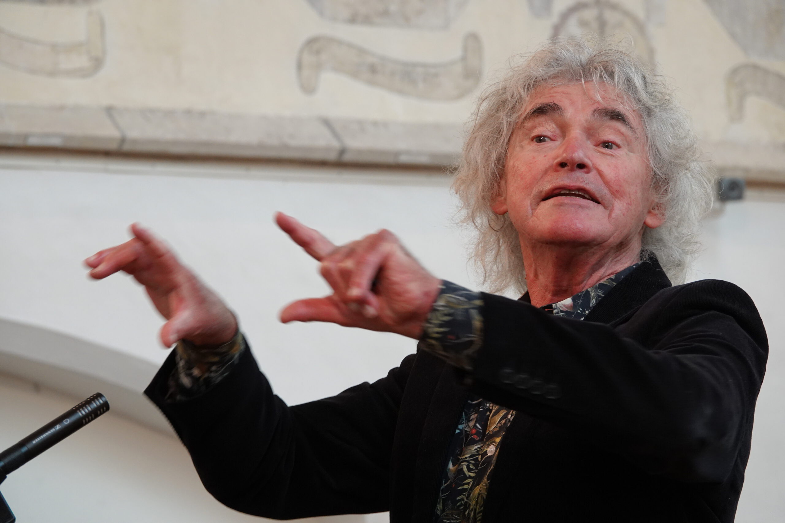 Hans Keuper treedt op bij project uniek boek Over de zwaluw in Gelselaar