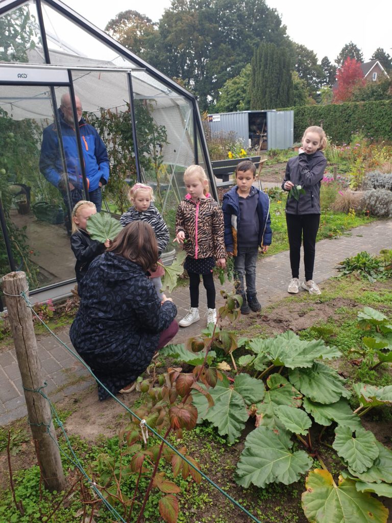 Groei & Bloei dag op de Dr. Ariëns Daltonschool in Neede