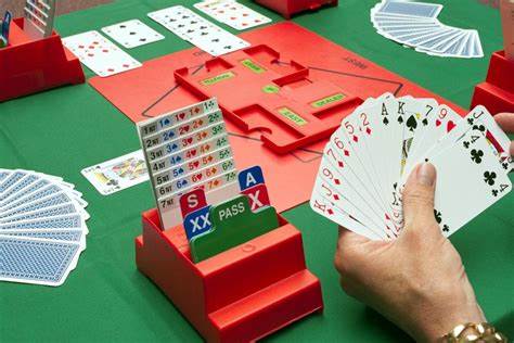 Start Bridgecursus voor beginners bij Trefpunt de Berg in Neede