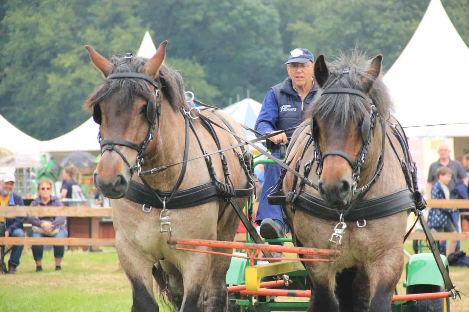Levend Erfgoed Dagen bij de Piepermolen in Rekken