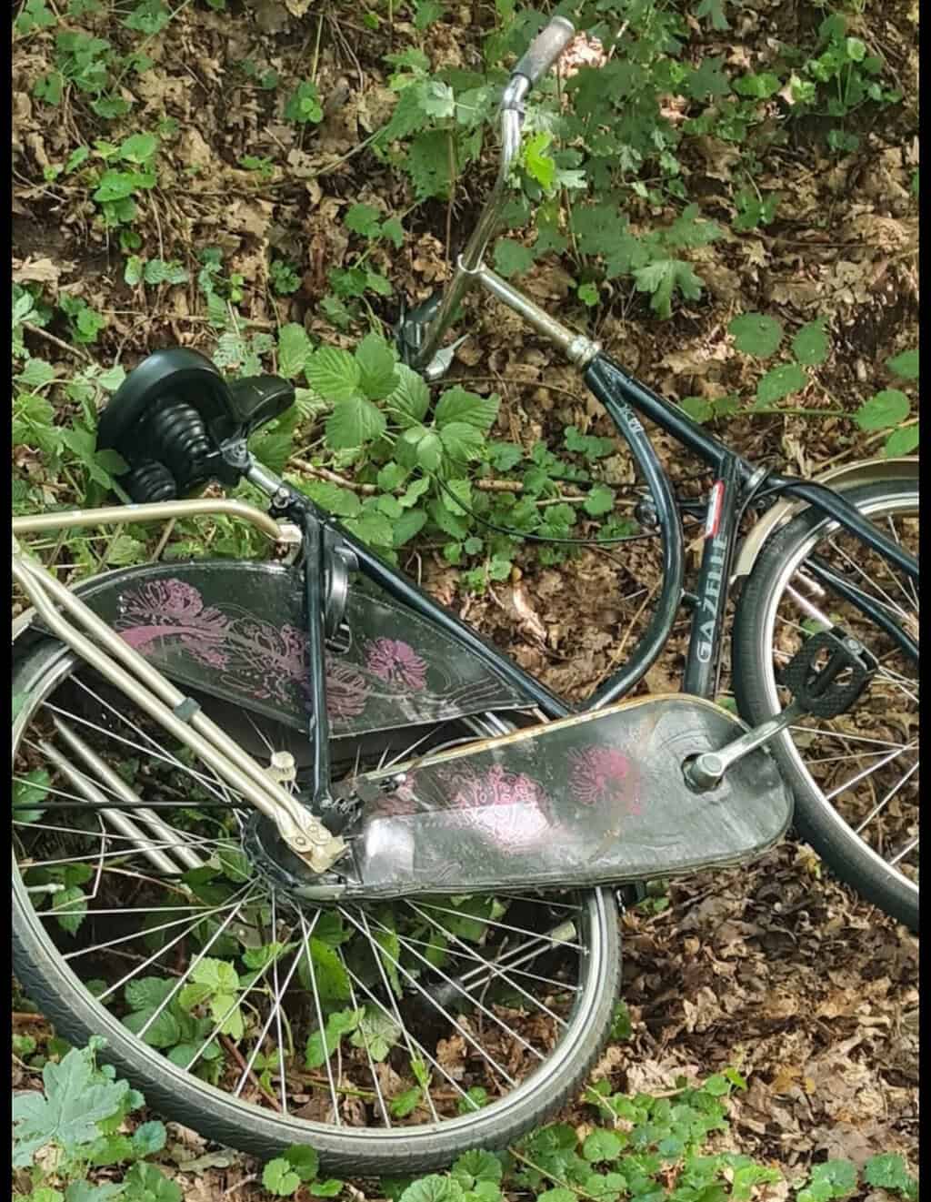Gevonden fiets zoekt eigenaar in Borculo